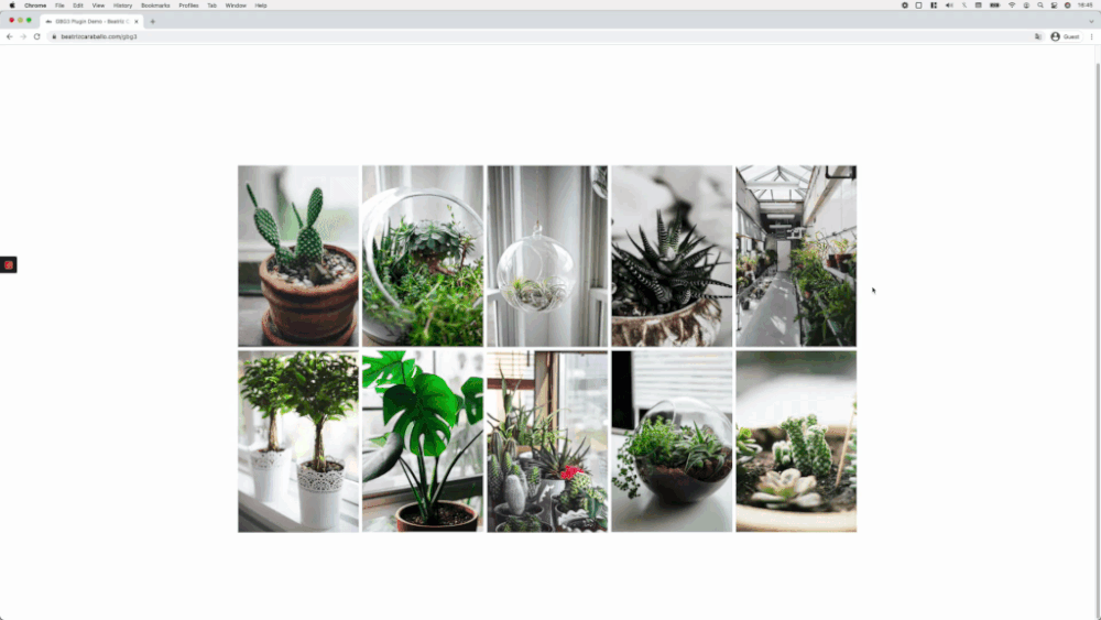 Gallery Title Link Rollover Gbg3 70 71 Ce And 71 Fe • Squarespace Coding Tutorials